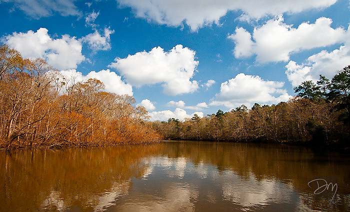 David Moynahan Photography | Choctawhatchee River Adventures